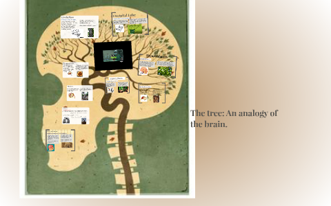 Tree analogy for brain... by rumika mascarenhas on Prezi