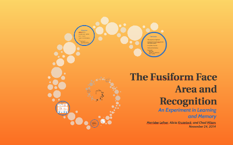 The Fusiform Face Area and Recognition by Chad Milam on Prezi