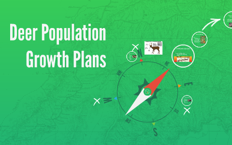 Deer Population Growth Plans by Jacob Johnson on Prezi
