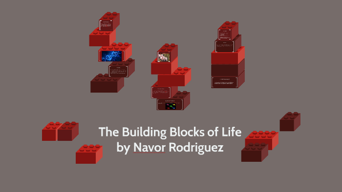 The Building Blocks of Life by Navor Rodriguez on Prezi
