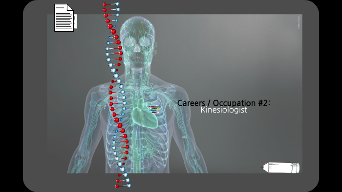 Career Exploration Project by Madi Hunt on Prezi