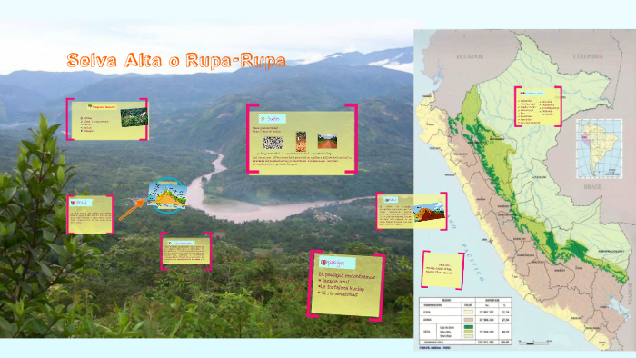 Selva Alta o Rupa-Rupa by Sofia's by sofia otero on Prezi