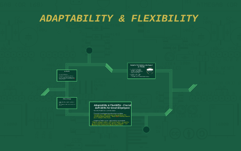 ADAPTABILITY & FLEXIBILITY by Guy Fonkouop