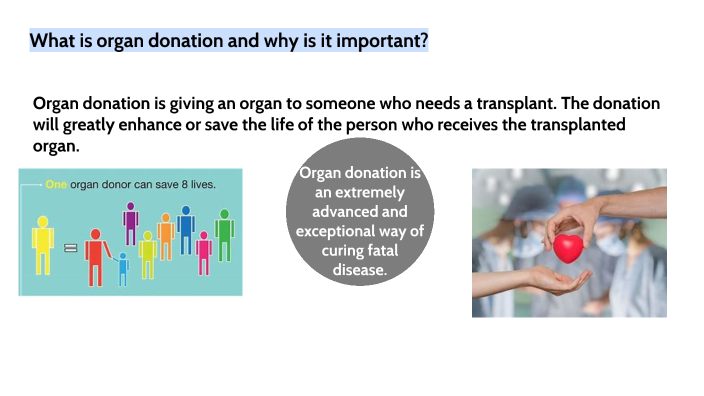 What is organ donation and why is it important? by Sophie Godwin on Prezi