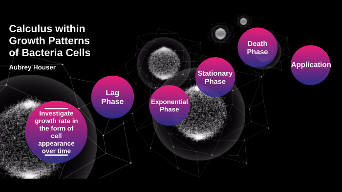 Calculus in Bacteria Growth by Aubrey Houser on Prezi