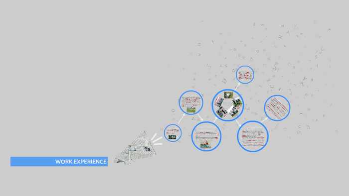 WORK EXPERIENCE by on Prezi