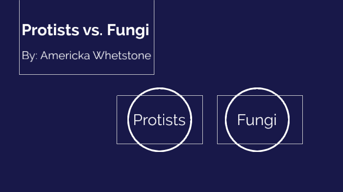 Protists Vs. Fungi by Americka Whetstone on Prezi