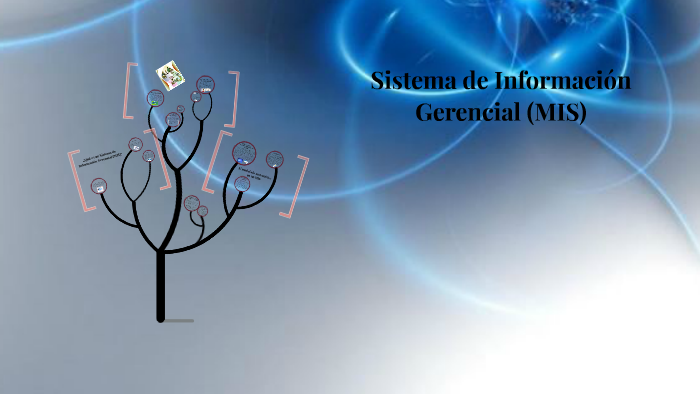 Sistema de Información Gerencial (MIS) by a q on Prezi
