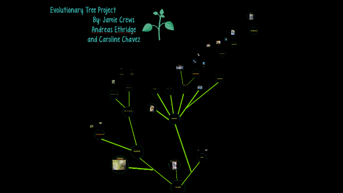 Evolutionary Tree Project by Jamie Crews on Prezi
