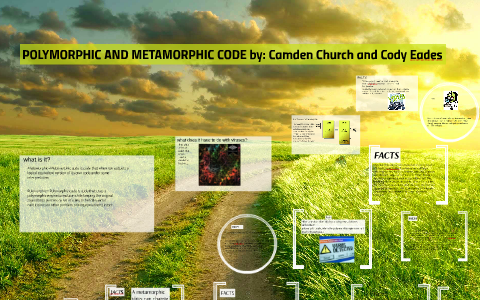 POLYMORPHIC AND METAMORPHIC CODE by: Camden Church and Cody by on Prezi
