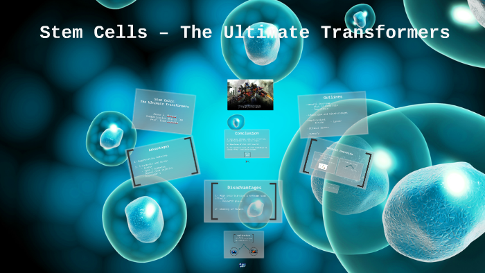 Stem Cells: The Ultimate Transformers by Deena F on Prezi