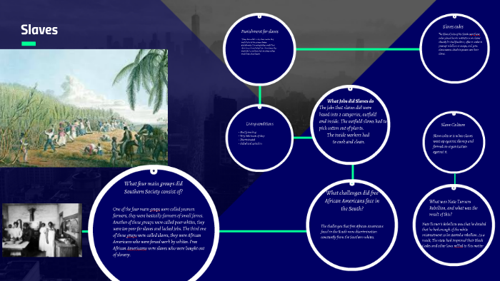 What four main groups did Southern Society consist of? by Yusif Alomari ...