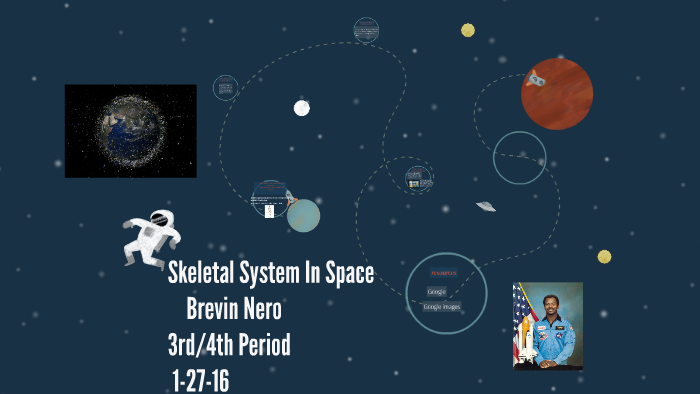 Skeletal system in space by brevin nero on Prezi