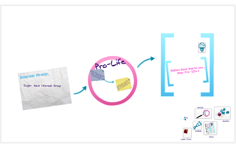 Single- Issue Interest Groups by Juana Coronado