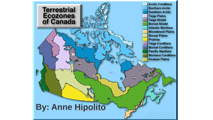 largest ecozones in Canada, covering 1.3 million square kil by Ansha ...