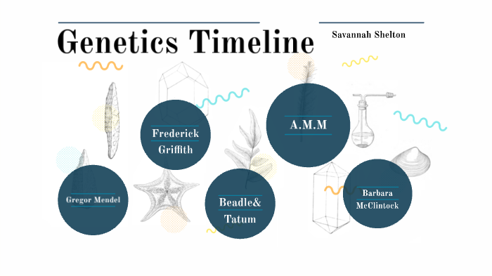 Genetics Timeline by Savannah S on Prezi