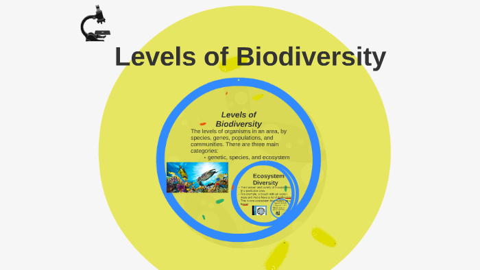 Levels of Biodiversity by Mikayla HU on Prezi