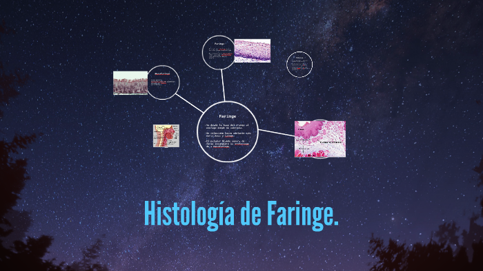 Histología de Faringe by Erick Terán on Prezi