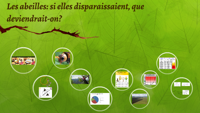 Les Abeilles Si Elles Disparaissaient Que Deviendrait On By Martin