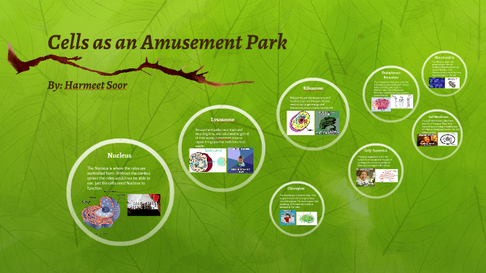 Cells as an Amusement Park by Harmeet Kaur