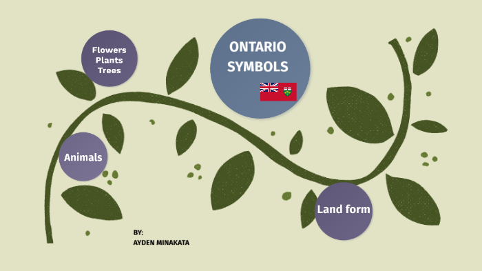 Ontario Symbols by carla camelo on Prezi
