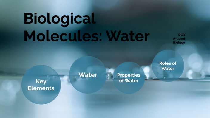 Biological Molecules: Water by Georgia Weekley on Prezi