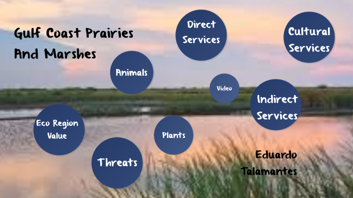 Gulf Coast Prairies And Marshes by Eduardo Talamantes on Prezi