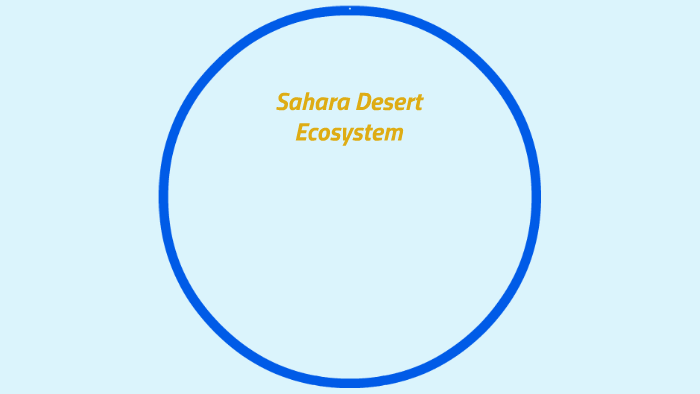 Sahara Desert Ecosystem by Xavier Coleman on Prezi