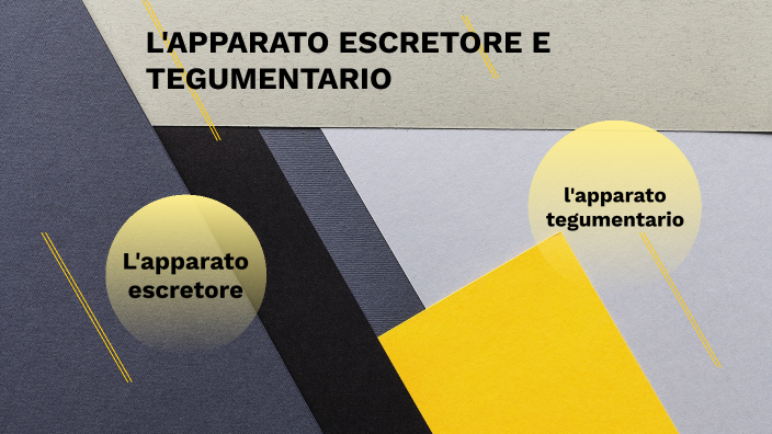 l'escrezione by giuseppe PIRAS on Prezi