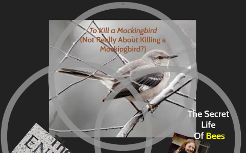 To Kill a Mockingbird Project by Jake Walbert on Prezi