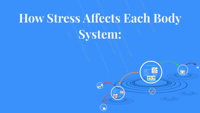How Stress Affects Each Body System: by Brittney Elton on Prezi