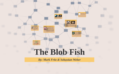 The Blob Fish by sebastian weber on Prezi
