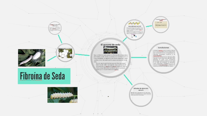Fibroína de Seda by Christian Romano on Prezi