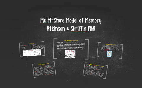 The Multi Store Model of Memory by star page