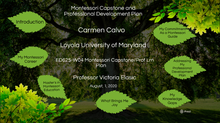 Final - Montessori Capstone/Professional Development Plan by Carmen ...