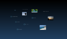 Instant Calming Sequence by Meghan O'Sullivan on Prezi