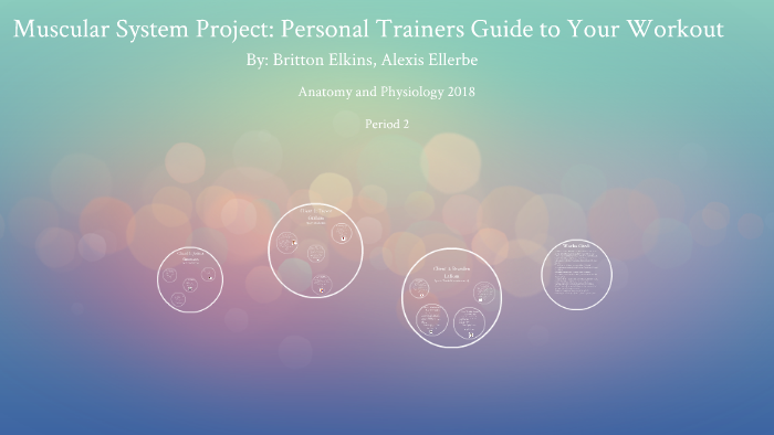 Muscular System Project by Lexi Ellerbe on Prezi