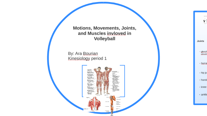 Motions, Movements, Joints, and Muscles invloved in Volleyba by Ara ...