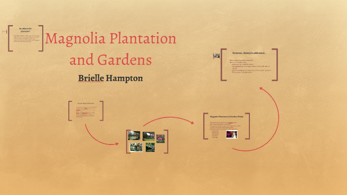 The Plantation Project: Magnolia by Brielle Hampton Hampton on Prezi