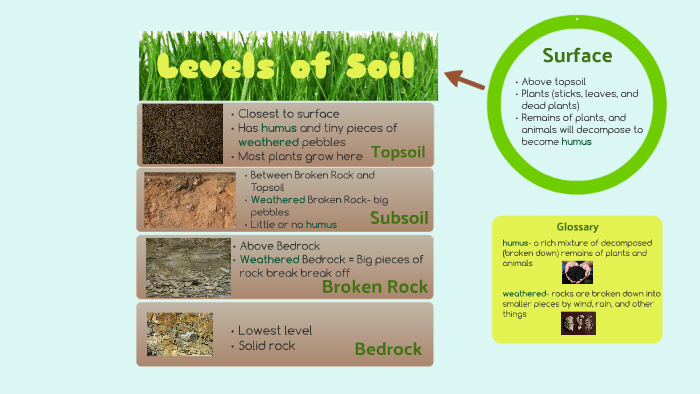Levels of Soil by Paula Seng on Prezi