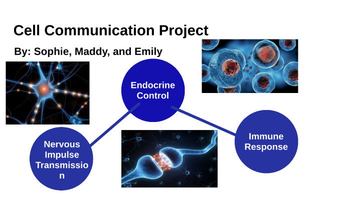Cell Communication Project by Sophia Barlock on Prezi