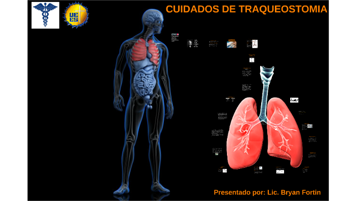 cuidados de paciente con traqueostomia by Bryan Daniel Fortin Perez on ...