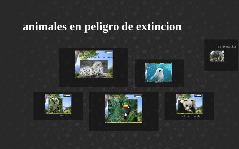 animales en peligro de extincion by Idis Rivera on Prezi