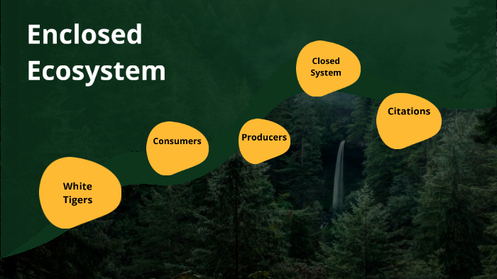 Enclosed Ecosystem Project by Stephen Perkins on Prezi