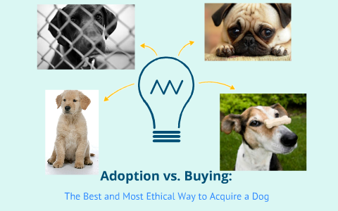 Adopting vs. Buying by Adrianna Hoyt on Prezi