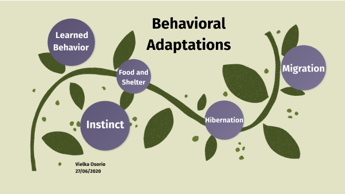 BEHAVIORAL ADAPTATIONS by Vielka Osorio on Prezi