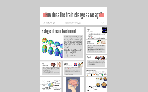How does the brain change as we age? by Marina Conway on Prezi Next