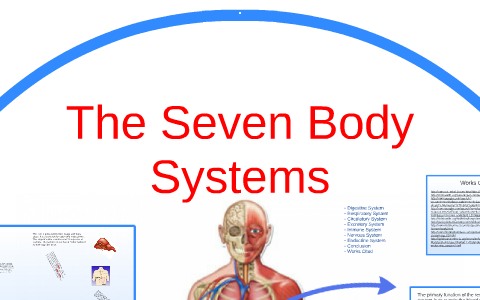The Seven Body Systems by Macie Ashby on Prezi