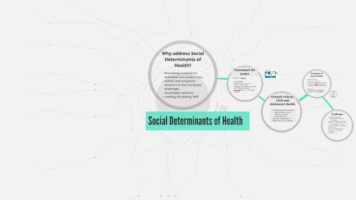 Social Determinants of Health: A Case Study by Janika Hauser on Prezi