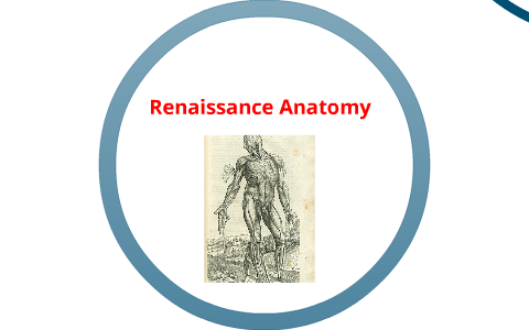 Renaissance Anatomy by london julian on Prezi